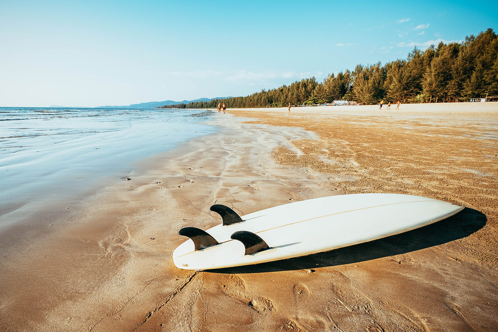 Surfboard Fin Setups: Understanding Single, Twin, Thruster, and Quad Fins
