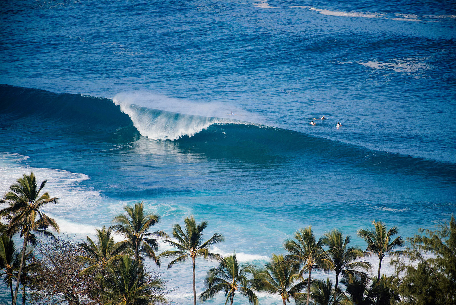 How to Read Waves—the Right Way