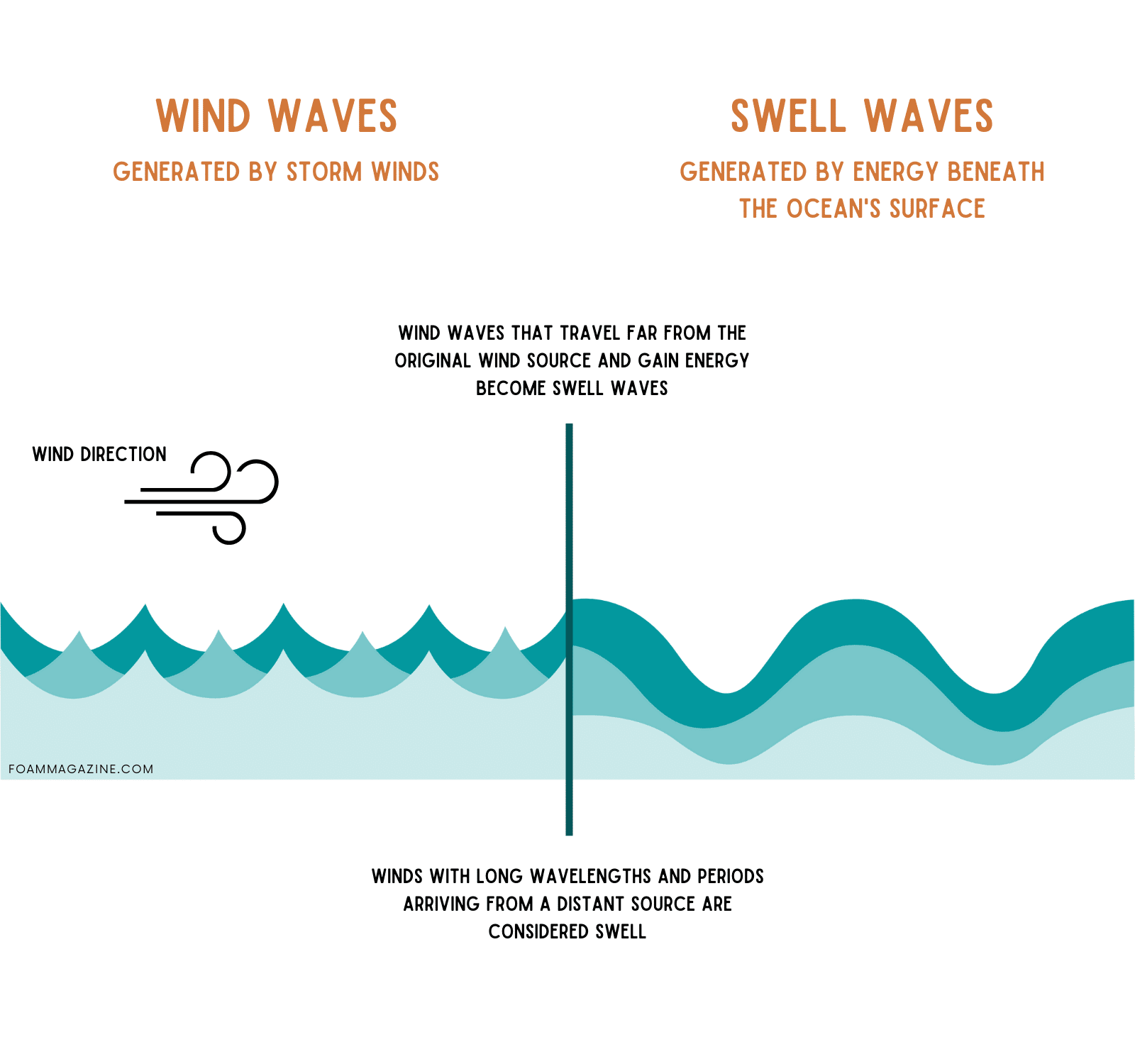 All About Swells: What They Are and How They Form in the Ocean