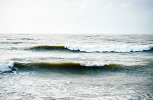 All About Swells: What They Are and How They Form in the Ocean