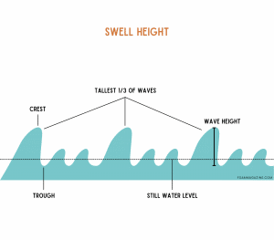 All About Swells: What They Are and How They Form in the Ocean